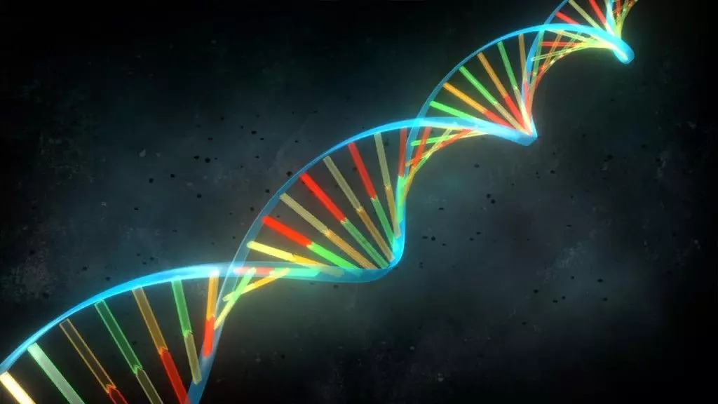 DNA sintetikoa gizatasun perfektua lortzeko 107694_1