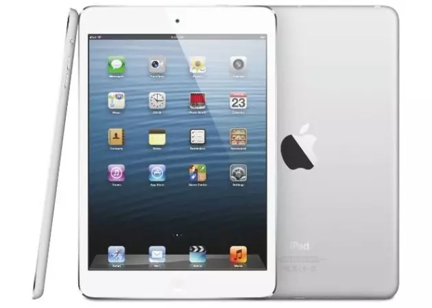 Apfel ipadmini 14959_1