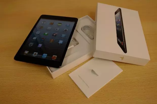 Apple iPad mini wongororo: mutengo uye maficha