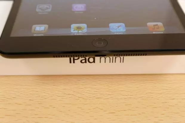 Apple iPad mini tlhahlobo