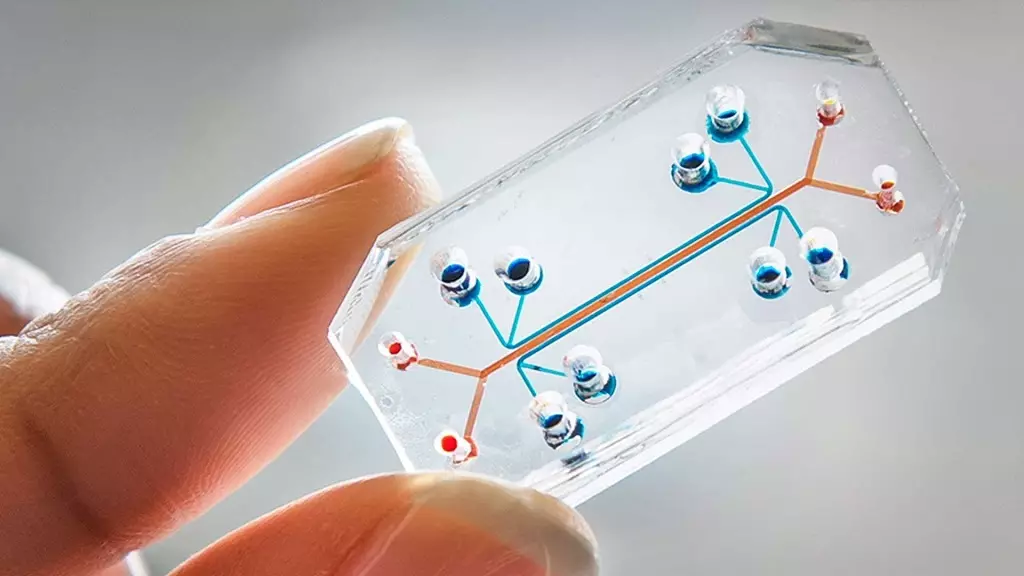 Organs-on-chip дар Истгоҳи байналмилалии кайҳонӣ озмуда мешавад 15797_1