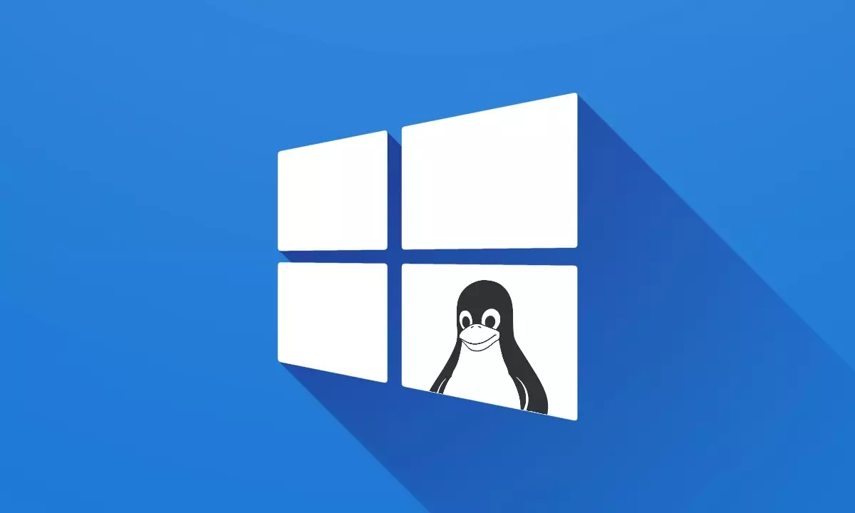 Inkqubo engaphantsi yeWindows yeLinux (WSL), kumyalelo omnye