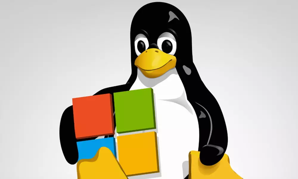 Tsarin Windows don Linux (WSL), a umarni ɗaya