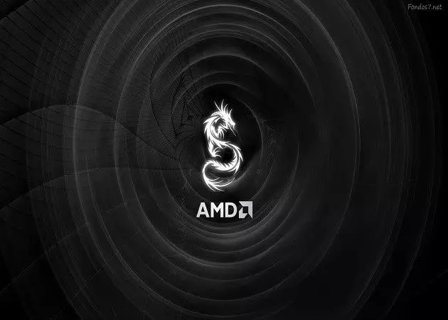 логотип дракона amd 1