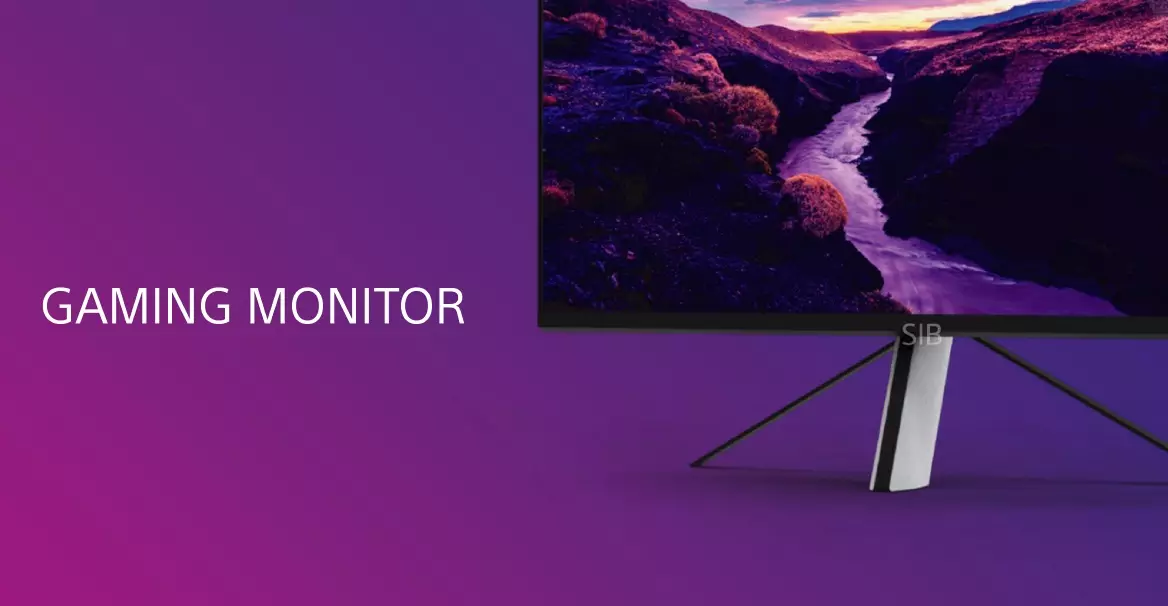 sony-monitorea