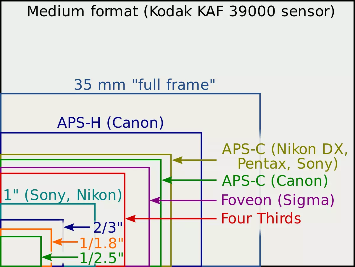 Kiel aĉeti kompaktan fotilon kiu prenas pli bonajn fotojn ol via inteligenta telefono 20778_1