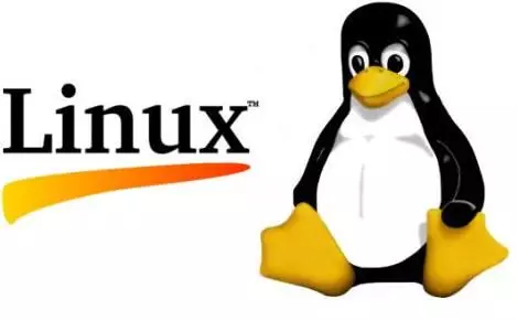 20 xyoo ntawm Linux thiab qhov zoo tshaj plaws tseem los txog 25713_3