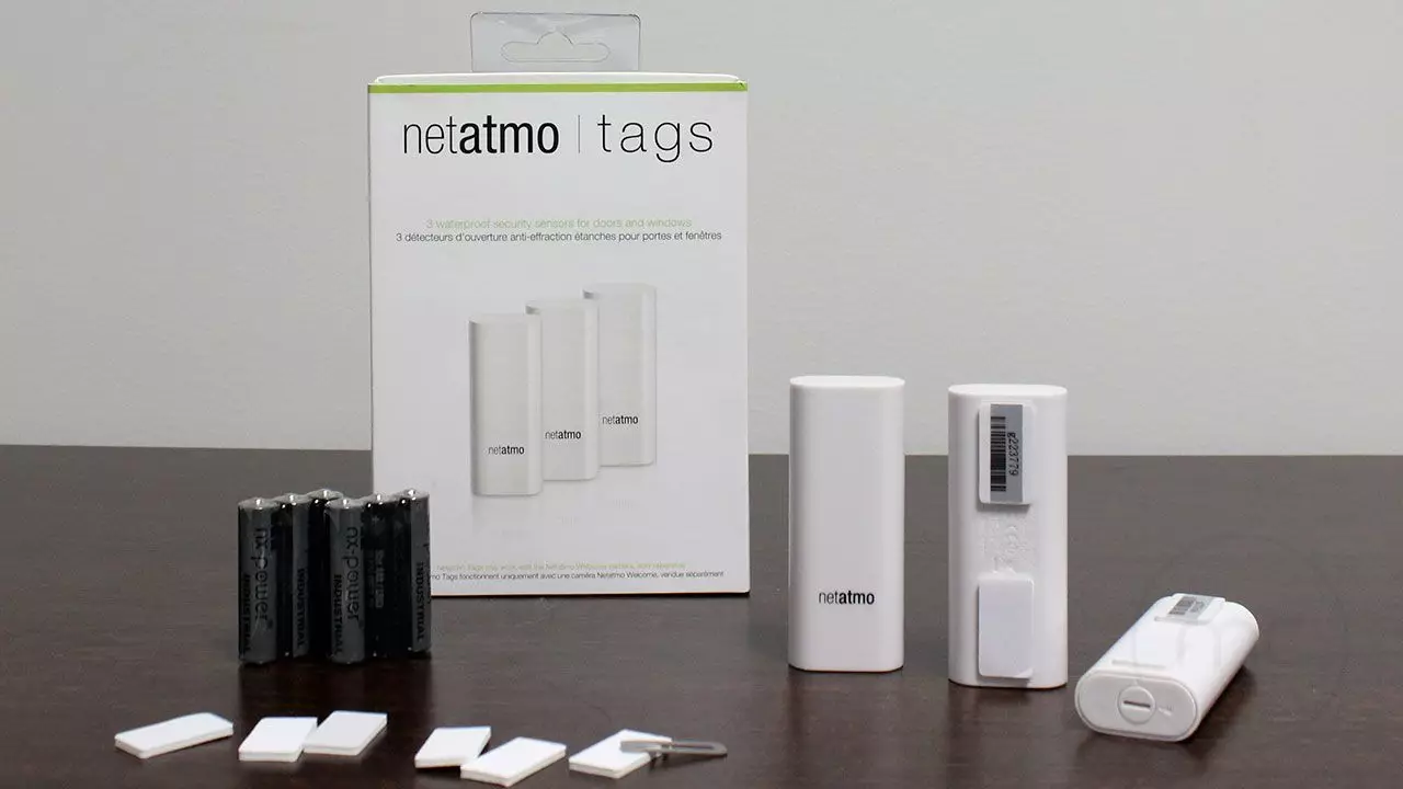 Анализираме камерата за видеонаблюдение Netatmo Welcome 32091_12