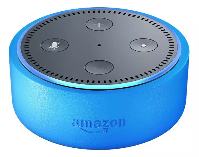 Echo Dot Kids සංස්කරණය