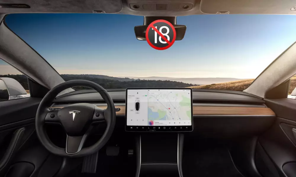 Relaties in de romantische modus van Tesla