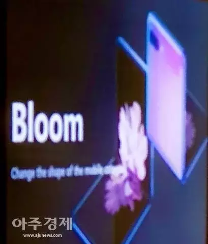 GalaxyBloom