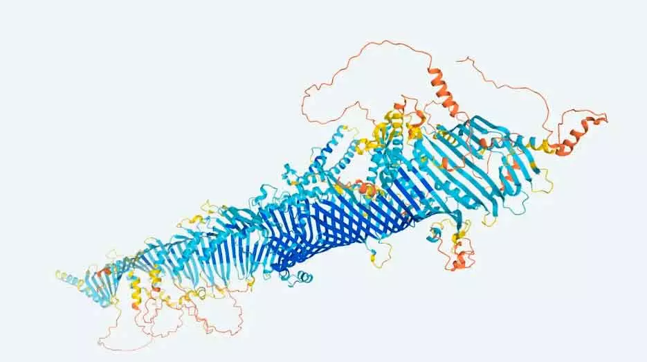 인간 단백질: 당신의 지도는 이미 매우 가깝습니다.