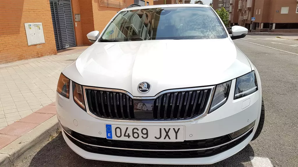 Skoda Octavia Combi G-Tec, стратегија 52488_29