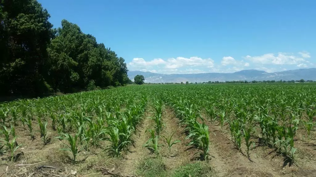 Η τεχνολογία θα είναι το κλειδί για την αποφυγή μελλοντικών λιμών 94254_1