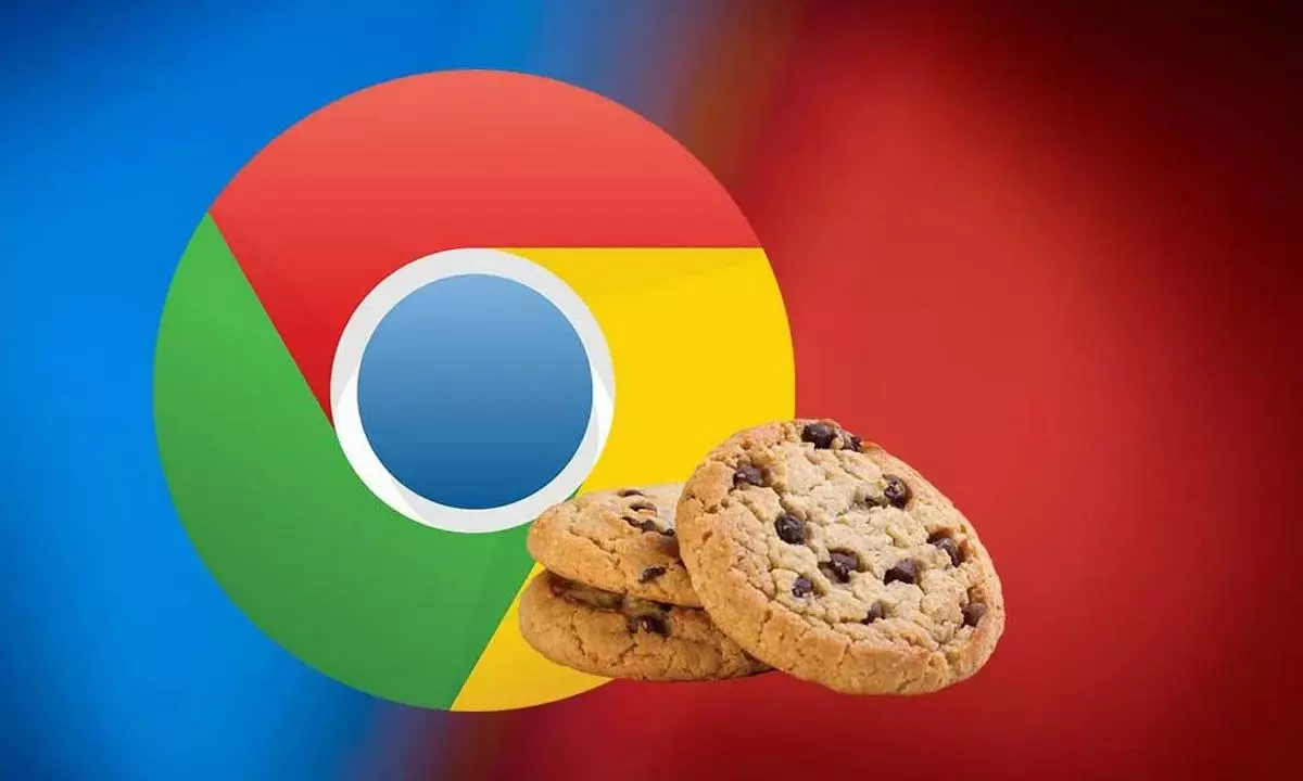 cookie in Google Chrome